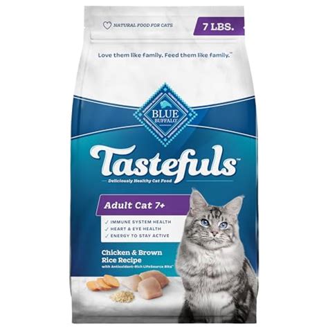 5 Top Reviews Best Cat Food For Older Cats With Bad Teeth