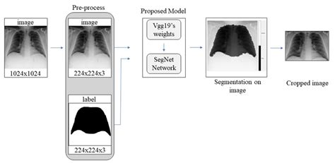 general structure of the proposed model download scientific diagram