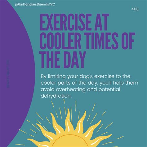 7 Ways To Keep Your Dog Cool Your Dog This Summer