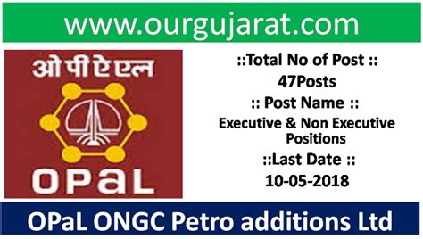 OPaL ONGC Petro Additions Ltd Executive Non Executive Positions 47