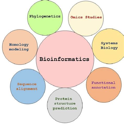 Some Of The Bioinformatics Applications Figure Modified From Verli