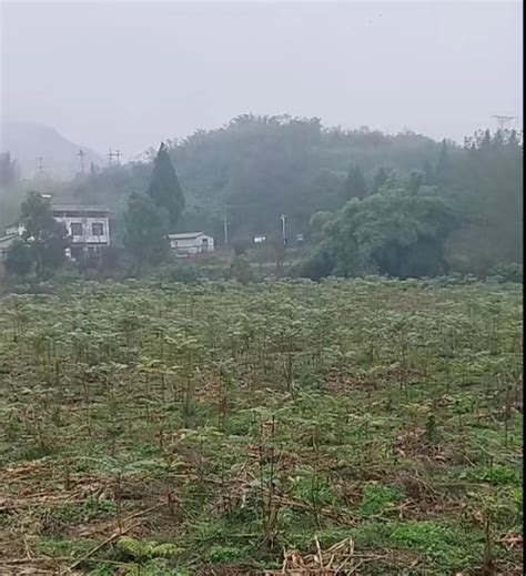 达州银行为结对帮扶集体经济薄弱村 李馥镇合寨村安装路灯50盏 工作信息 渠县人民政府