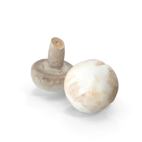 Mushrooms Png Images And Psds For Download Pixelsquid S123819527