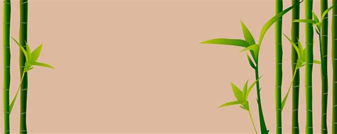 대나무 그림입니다 인쇄 아시아 스파 및 마사지 화장품 패키지 재료에 대 한 디자인 복사 공간 가로 배경입니다 0명에 대한 스톡 벡터 아트 및 기타 이미지 Istock