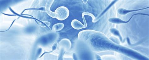 Strata Valves Shunt For Hydrocephalus Bioteknika Healthcare Pvt Ltd