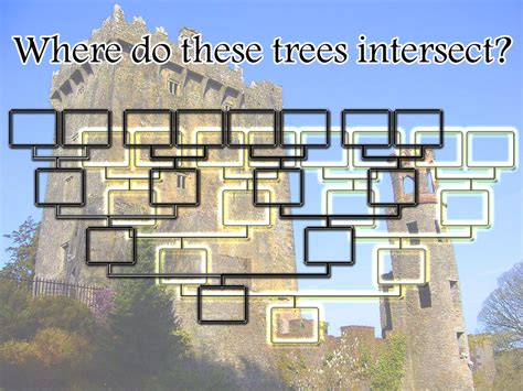 Origin Hunters Genetic Genealogist Mystery Cousins Autosomal Dna