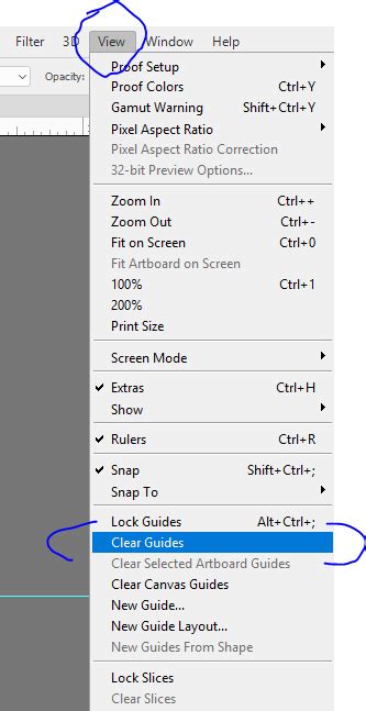 Solved Blue Line On Photo Adobe Community 8773929