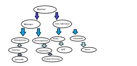 Unit One Diagram Quizlet