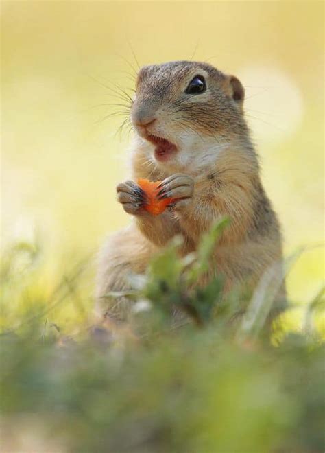 Relax លំហែ Home