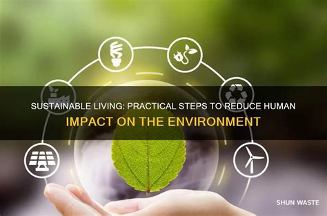Sustainable Living Practical Steps To Reduce Human Impact On The