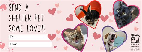 Send A Shelter Pet Some Pope Memorial Humane Society