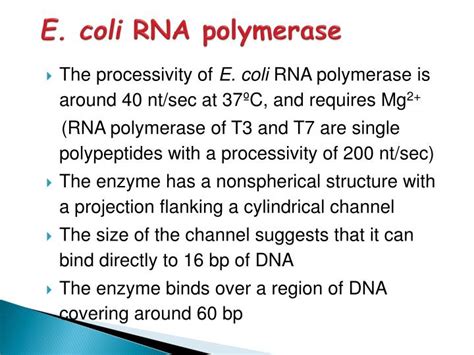 Ppt E Coli Rna Polymerase Powerpoint Presentation Id 6147560