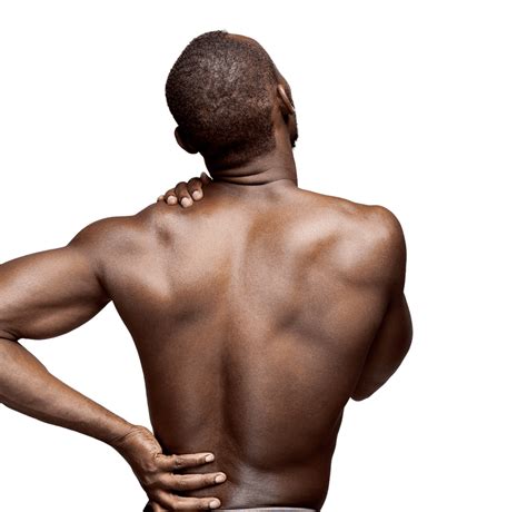 Peripheral Nerve Reconstructionbrachial Plexus Calgary