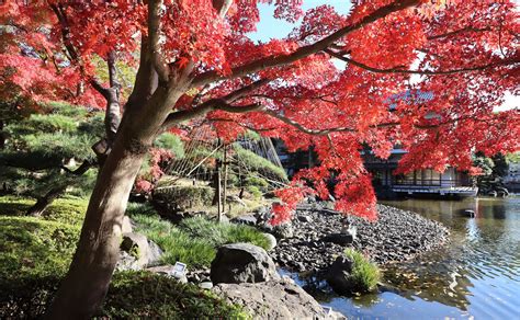 花畑記念庭園 画像ギャラリー