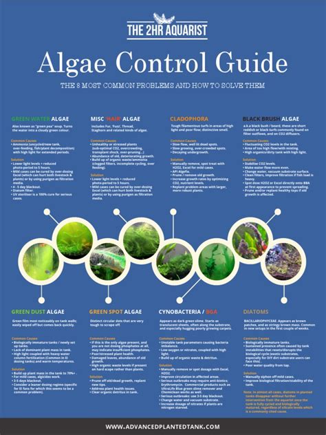 2hraquarist Algae Control Guide Download Free Pdf Plants Chemistry