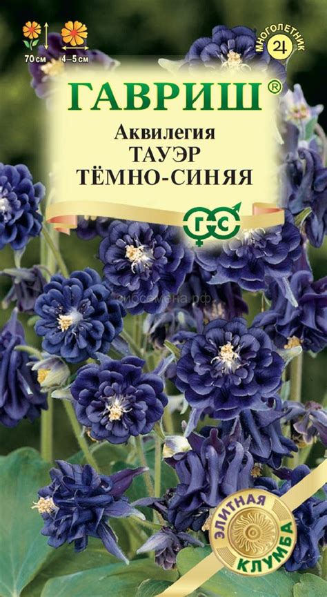 СЕМЕНА ПАКЕТИРОВАННЫЕ — Семена для Сибири