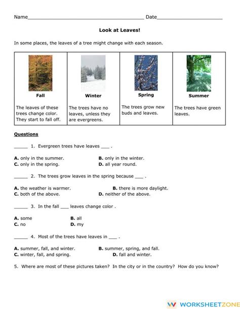 Types Of Trees Reading Comprehension Worksheet