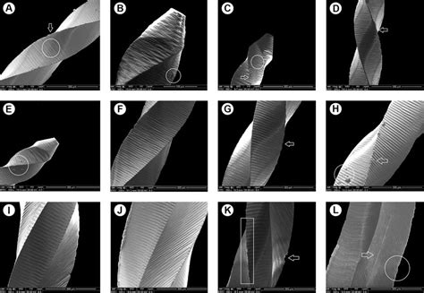 Representative Sem Micrographs Of The Instruments Surface Before And
