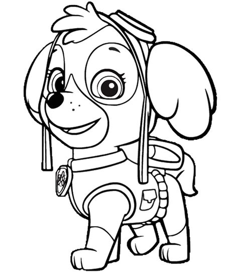 Dibujos De La Patrulla Canina Para Colorear Paw Patrol Sexiz Pix