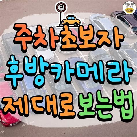 자취생으로 살아남기 🧡후방카메라 제대로 보고 칼각주차하는 법🧡 이것만 알아도 ㄹㅇ 주차 개껌임