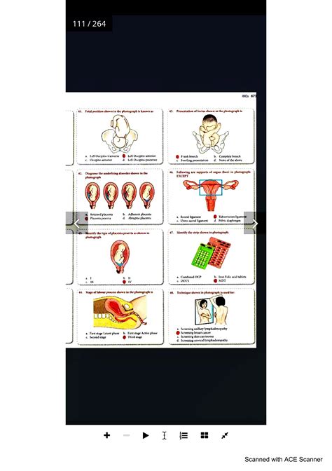 Gynecological And Obstetric Nursing Nursing Informationpdf