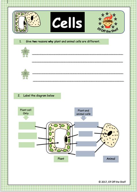 Free Plant Cell Animal Cell Worksheet Download Free Plant Cell Animal