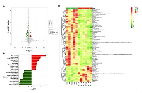 Volcano Plot Showing Differential Metabolites Between The Ss And Ul