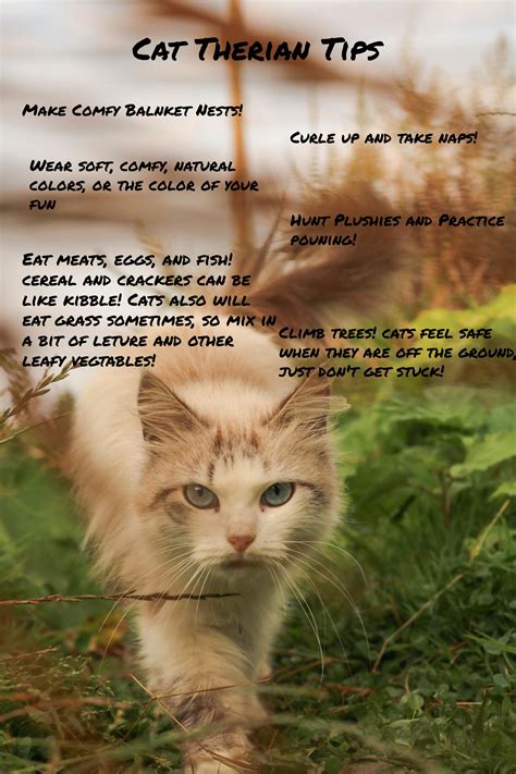 Cat Therian Tips Cat Therian Aesthetic Tips For Cat Therians