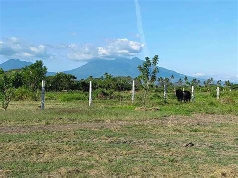 Sqm Agricultural Farm For Sale In Tiaong Quezon Lot June In Tiaong Quezon For