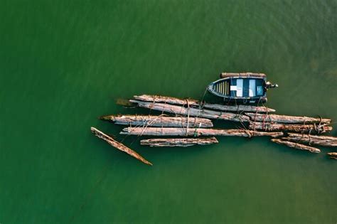 Premium Photo Aerial View Of Logs At Beach