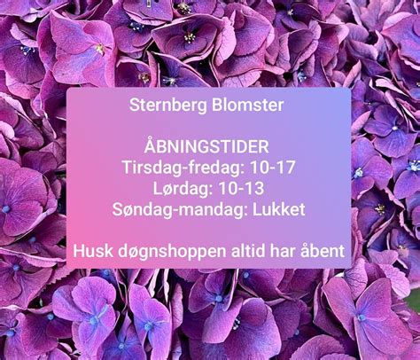 🎻🎶 Jane And Shane 25 år Vi Er Klar Til At Fejre 25 år Med Musik Der Rammer Både Hjertet Og