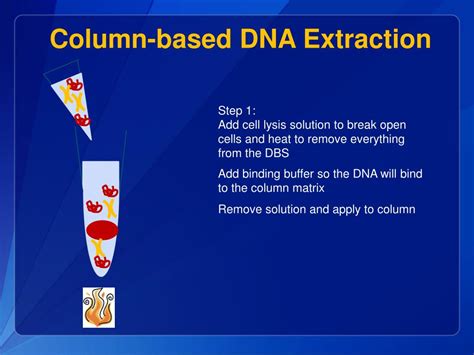 Ppt Dbs Dna Extraction Validation And Quantitation Powerpoint