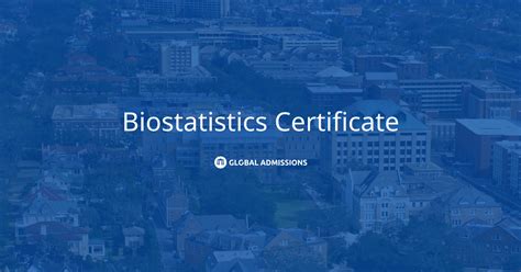 Biostatistics Certificate At Tulane University Global Admissions