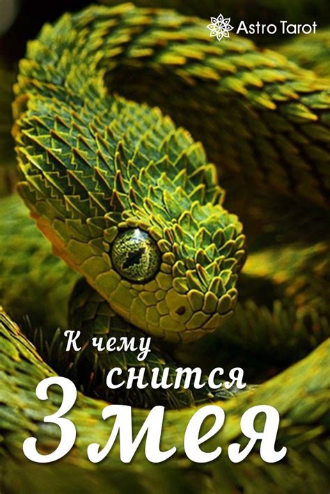 Сонник Миллера Если во сне Ваши волосы превратятся в змей значит