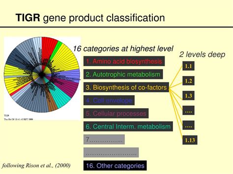 Ppt Theoretical Methods For Predicting Gene Function I Overview