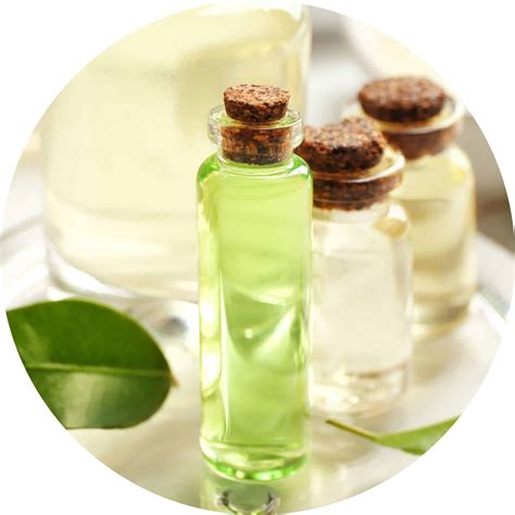 Cold Sore Or Canker Sore Total Care Dental Holistic Dentistry