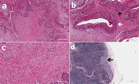 Jcpsp Journal Of College Of Physicians And Surgeons Pakistan