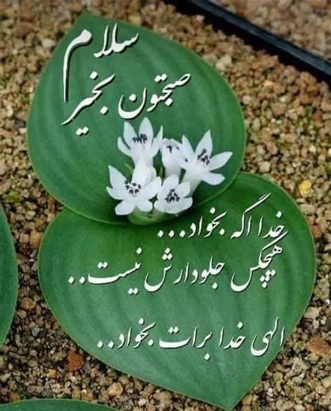 سلام ، صبح بخیر ، سلام زیبا ، سلام دلنشین