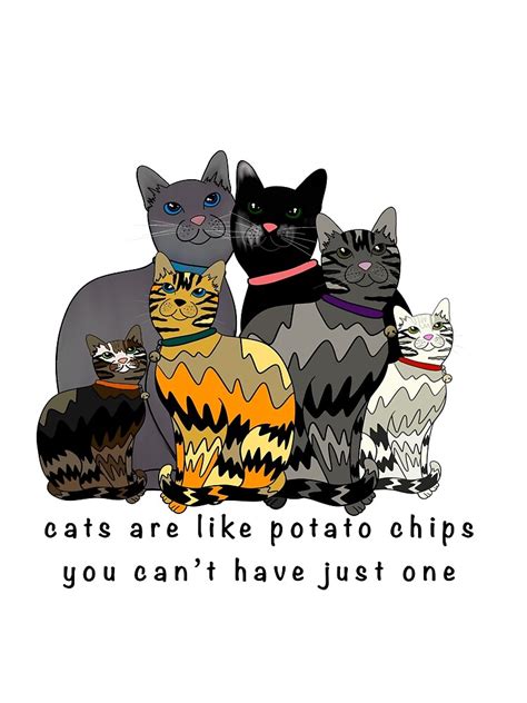 Póster Los gatos son como papas fritas no puedes tener solo una de