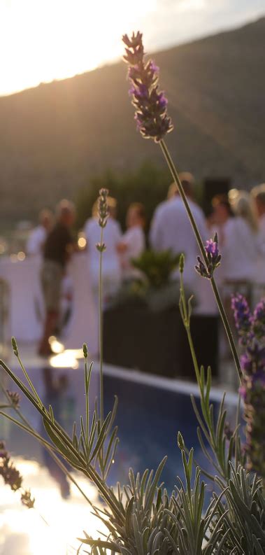 Kontakt Smještaj Baotić