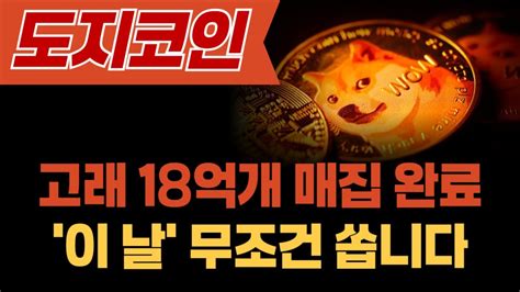 도지코인 전망 고래 18억개 매집 완료 도지 이 날 무조건 쏩니다 업비트시황 코인시황 급등코인추천 리플대응 Youtube