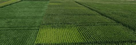 The Crop Production Lifecycle Research Product Development Sentera