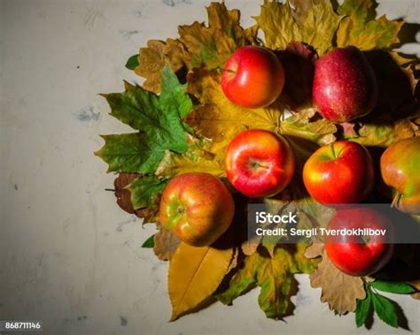 타락 한 단풍과 잘 익은 빨간 사과을 따뜻한 배경 텍스트 또는 사진에 대 한 프레임입니다 가 또는 작물에 대 한 기사에 대 한 적용 가능 합니다 가을에 대한 스톡 사진 및