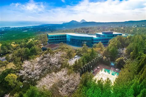 힐링을 부르는 숲 스테이 제주 위호텔 웰니스 Tips