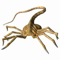 Free 3D Facehugger Models TurboSquid