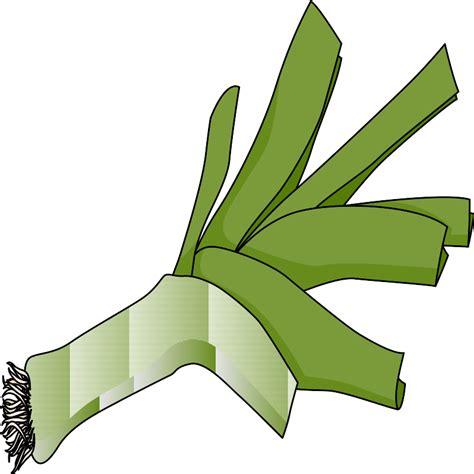 Leek Figure Science Figures