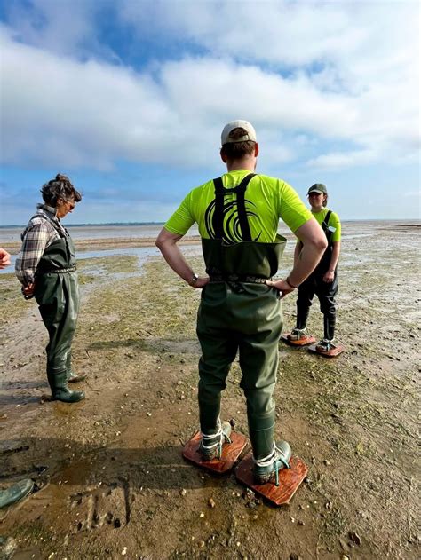 Project Seagrass On Linkedin Seagrassrestoration