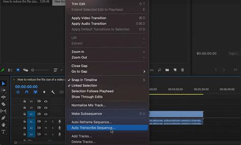 How To Add Subtitles In Premiere Pro Dubverse Ai