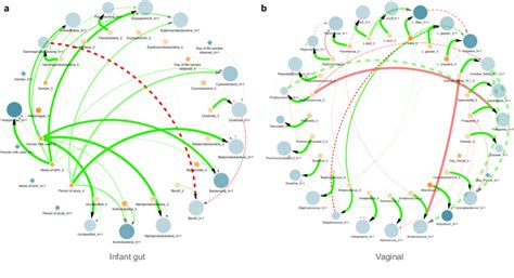 dynamic bayesian network for two representative data sets figure shows
