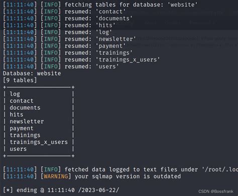 渗透测试：详解sqlmap进行post注入、基于insert的注入（以vulnhub靶机lampsecurityctf7为例）sqlmap